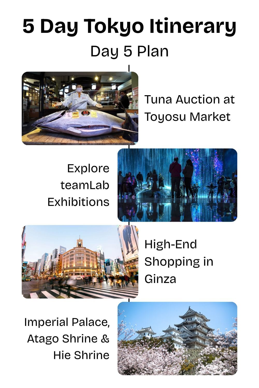 Tokyo Itinerary : The Best 5 Day Travel Guide for Solo Travelers
